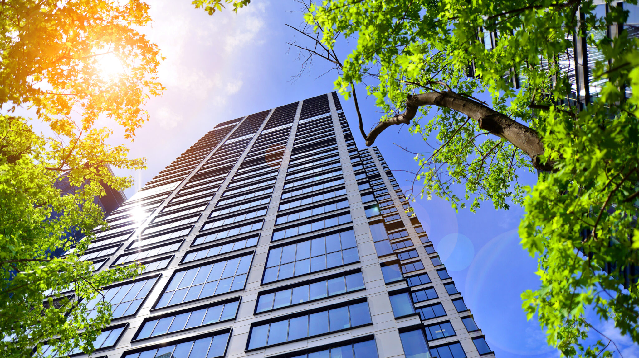 IRS Updates Guidance on 179D Tax Deduction: What You Need to Know ...