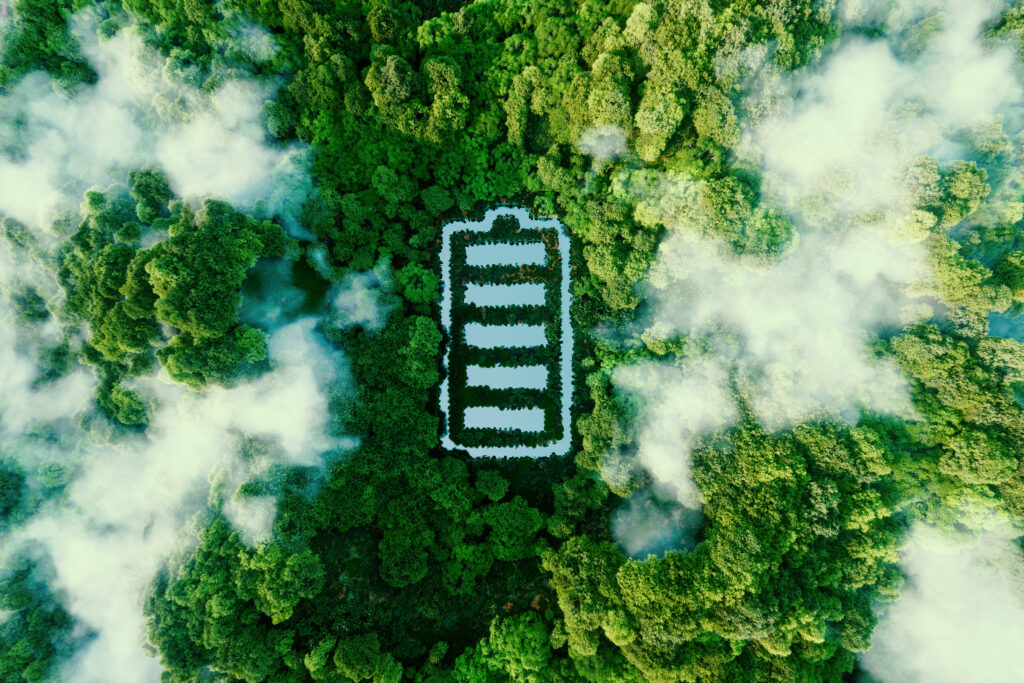 Exploring Green Energy Initiatives: What Governments Can Do to Promote ...